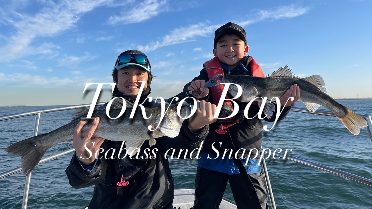 Seabass and snapper fishing in Tokyo Bay, Japan: Amazing fishery 12/28 ...