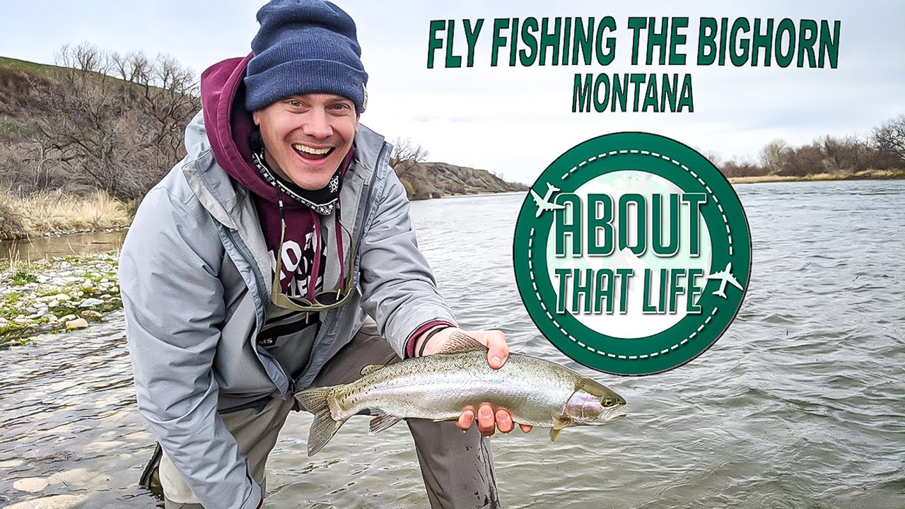 Fly Fishing Montana | Bighorn River - YouTube