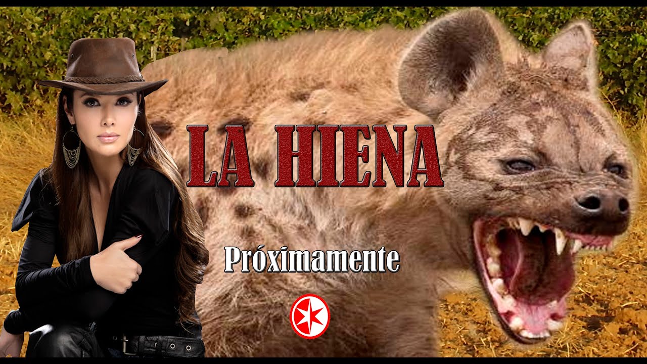 Telenovela La Hiena remake 2016 Próximamente - YouTube