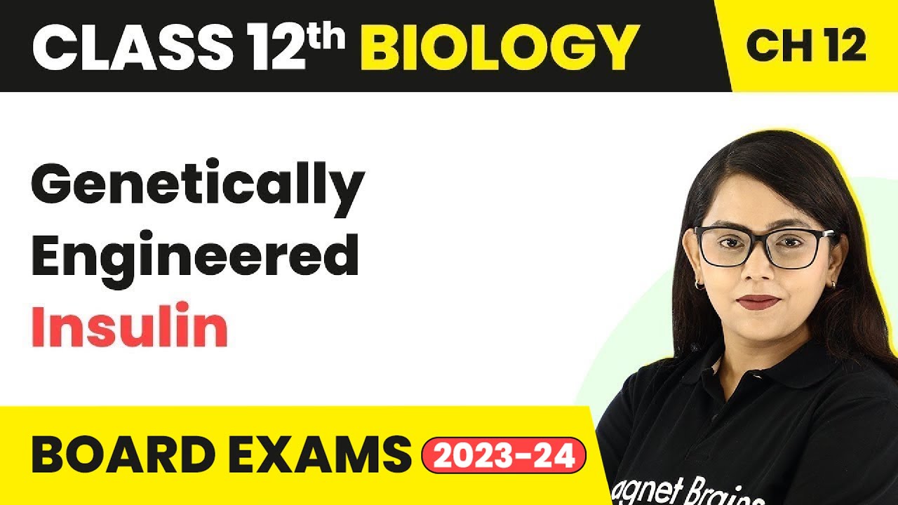Genetically Engineered Insulin | Class 12 Biology Chapter 12 NCERT/NEET ...