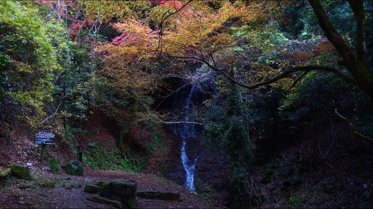 [京都の紅葉特集] 音無の滝 (autumn leaves at the Otonashi-no-taki Waterfall in ...
