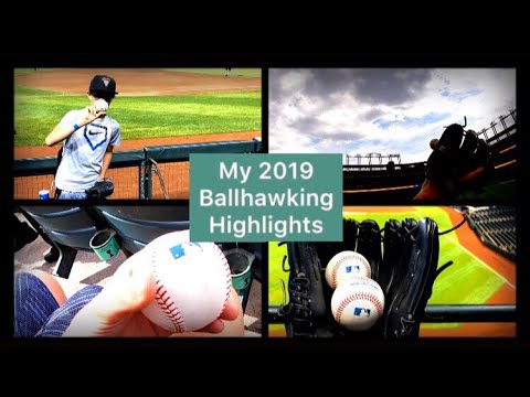 My 2019 ball hawking highlights - YouTube