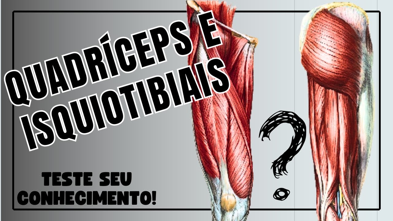 QUADRÍCEPS E ISQUIOTIBIAIS - INSERÇÕES E ORIGENS - Corpo Quiz - YouTube