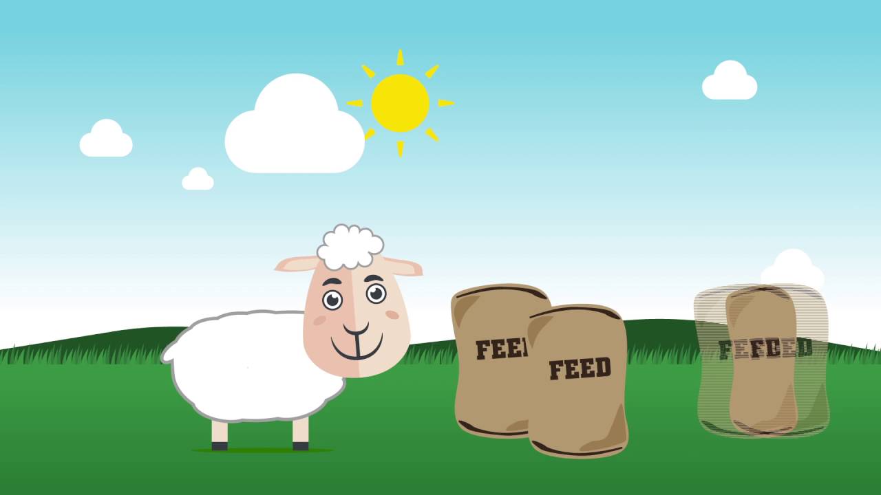 Animated Commercial - Advantage Feeders - YouTube
