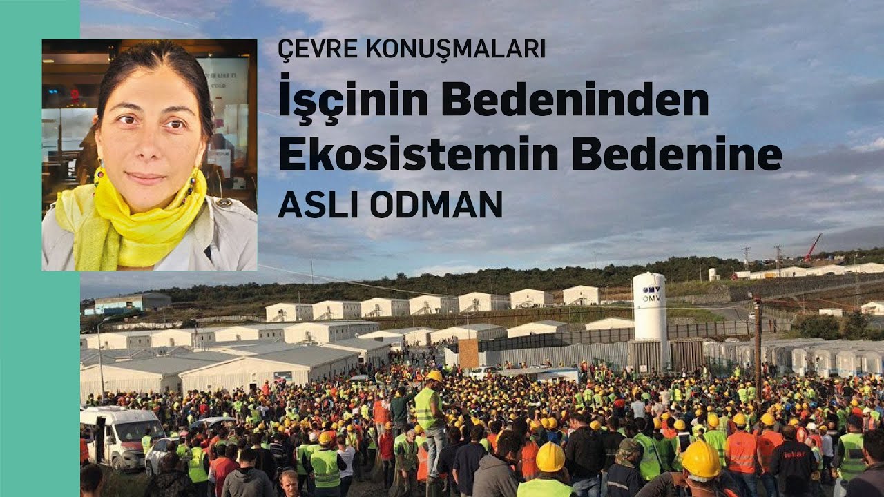 İşçinin Bedeninden Ekosistemin Bedenine - Asli Odman - YouTube