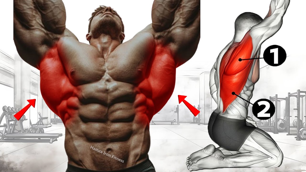 Most Effective Back ( Lats ) Workout _ Lat Exercises - YouTube