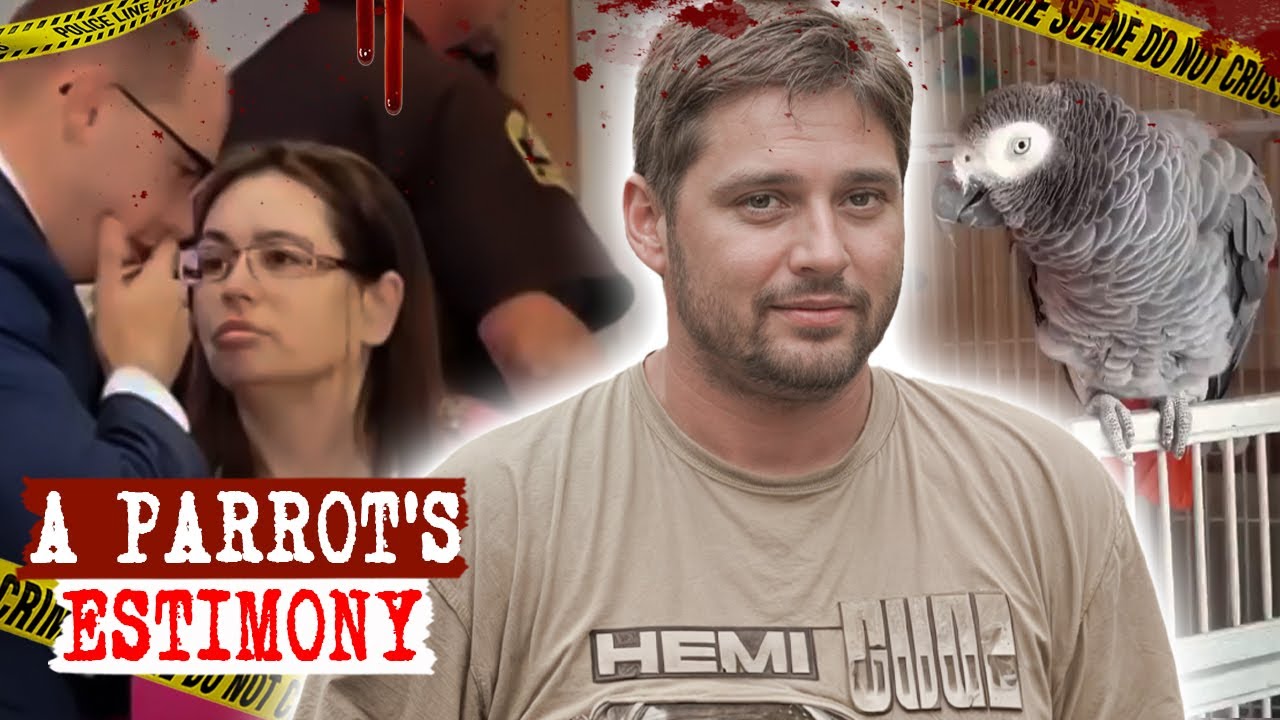 A Husband, A Wife, and A Talking Parrot… The Murder of Martin Durham ...