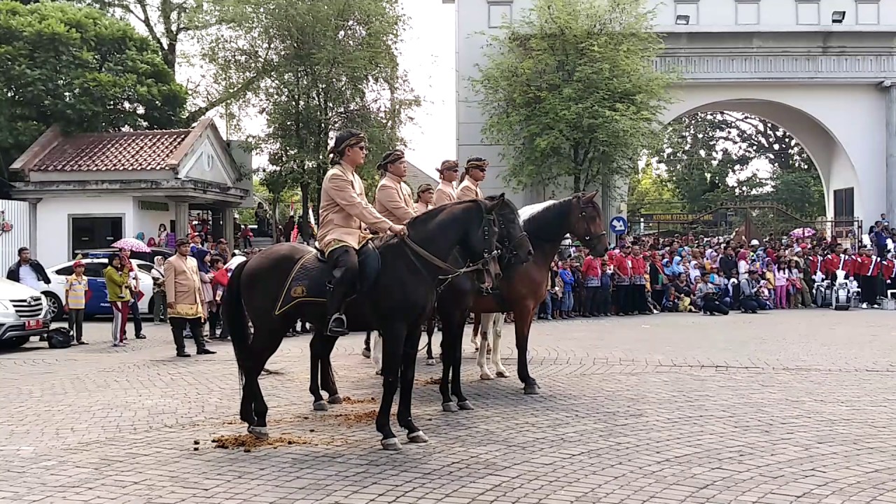 Keren! Kuda Tunggangan Tubuh Gagah milik Polisi polri - YouTube