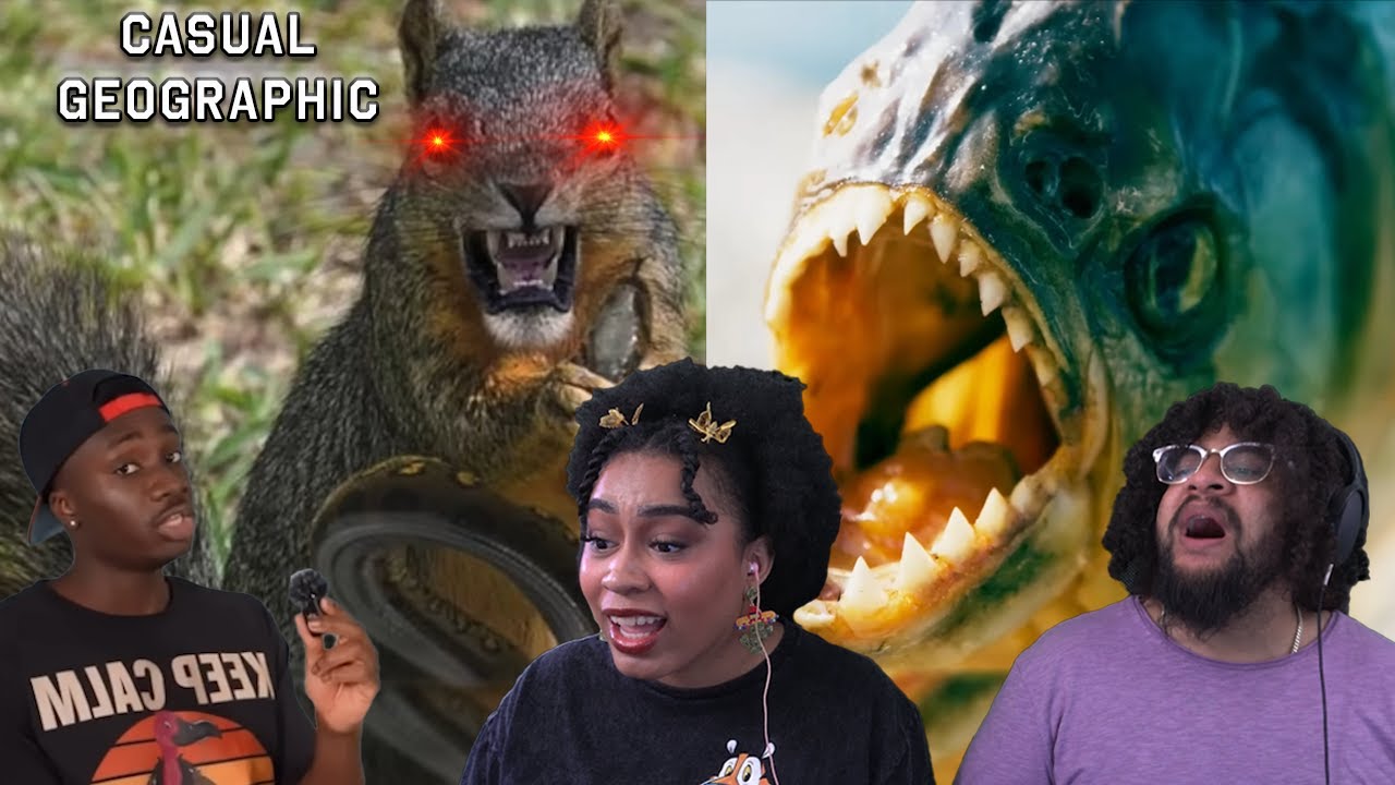 Top 10 Most Criminally Misunderstood Animals | Casual Geographic ...