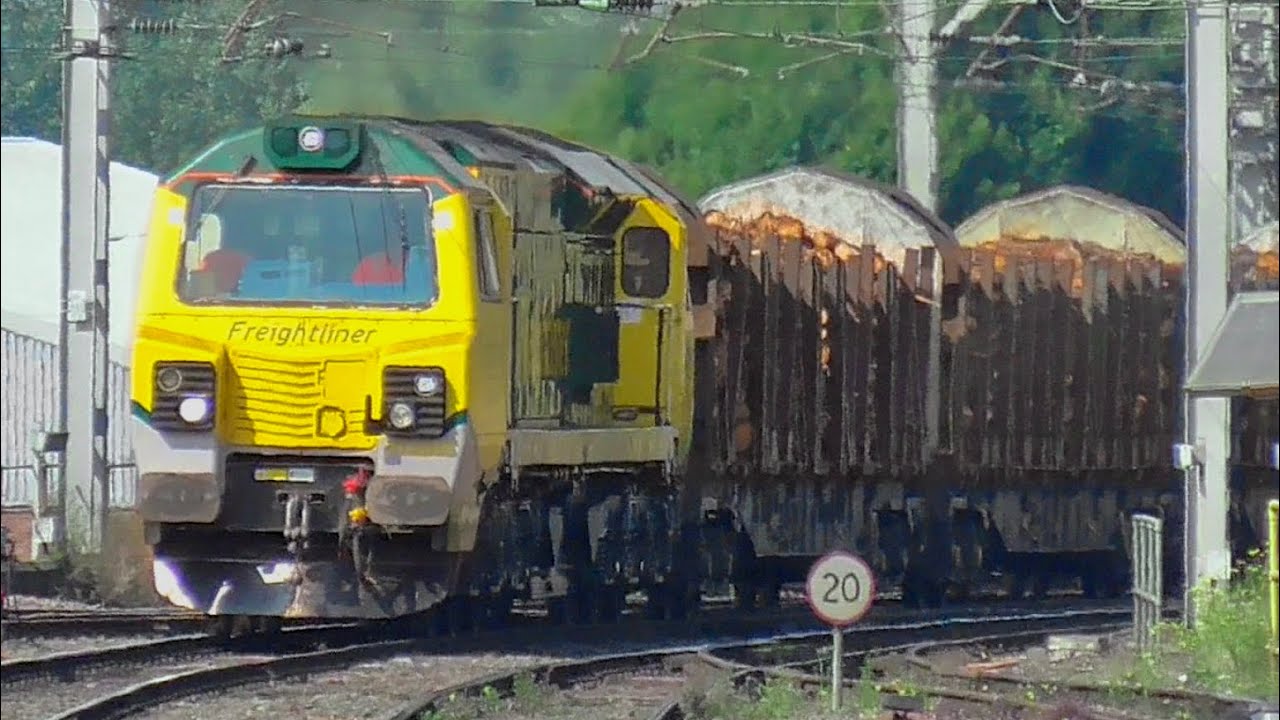 An UNSUAL VISITOR On The LOG TRAIN With A FREIGHTLINER Class 70 ...