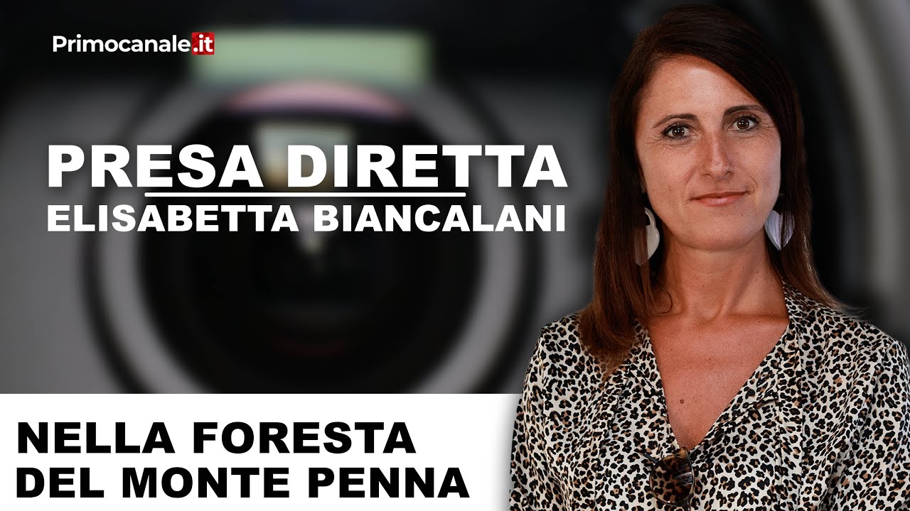PRESA DIRETTA - TRA LIGURIA ED EMILIA NELLA FORESTA DEL MONTE PENNA ...