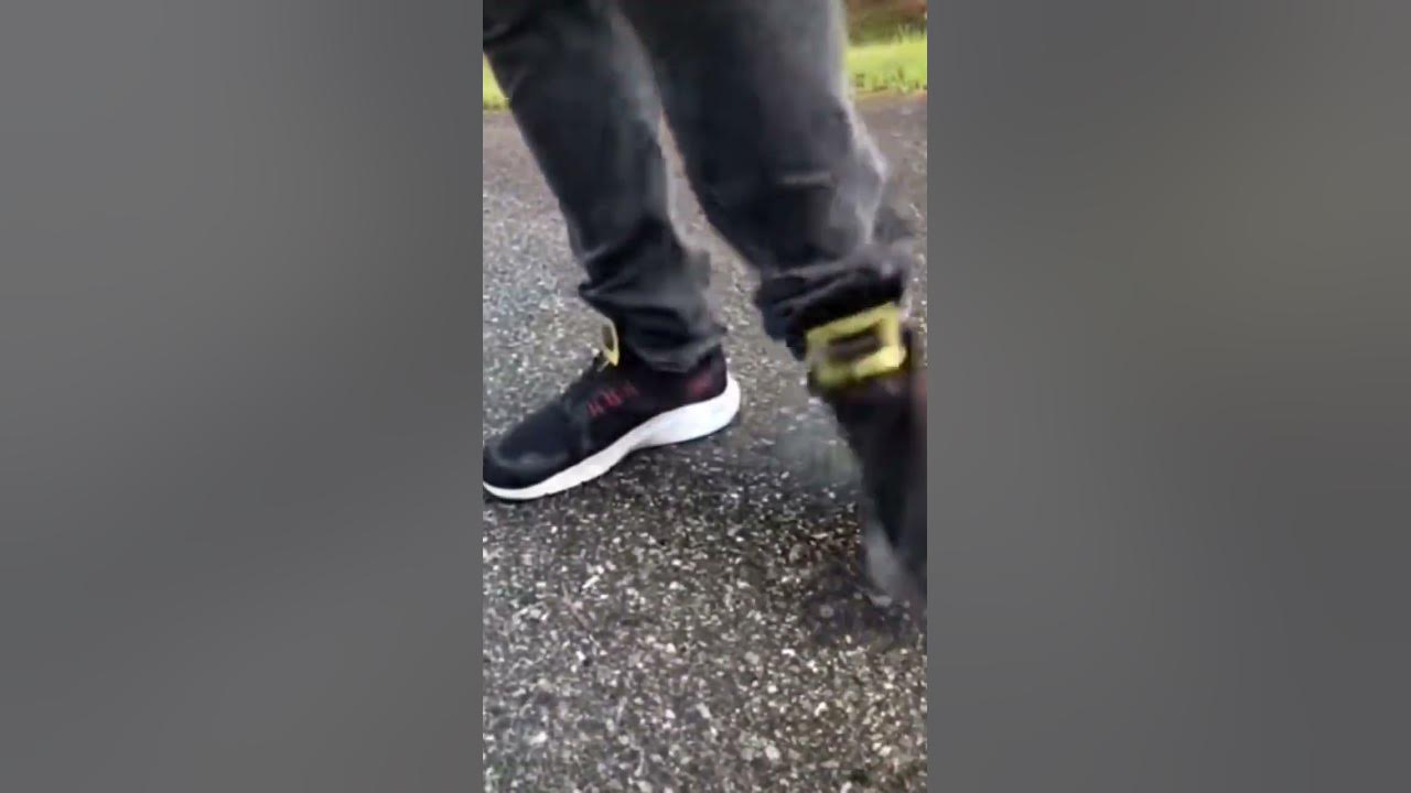 12 Buckle my shoe 3 4 buckle some more (original) - YouTube