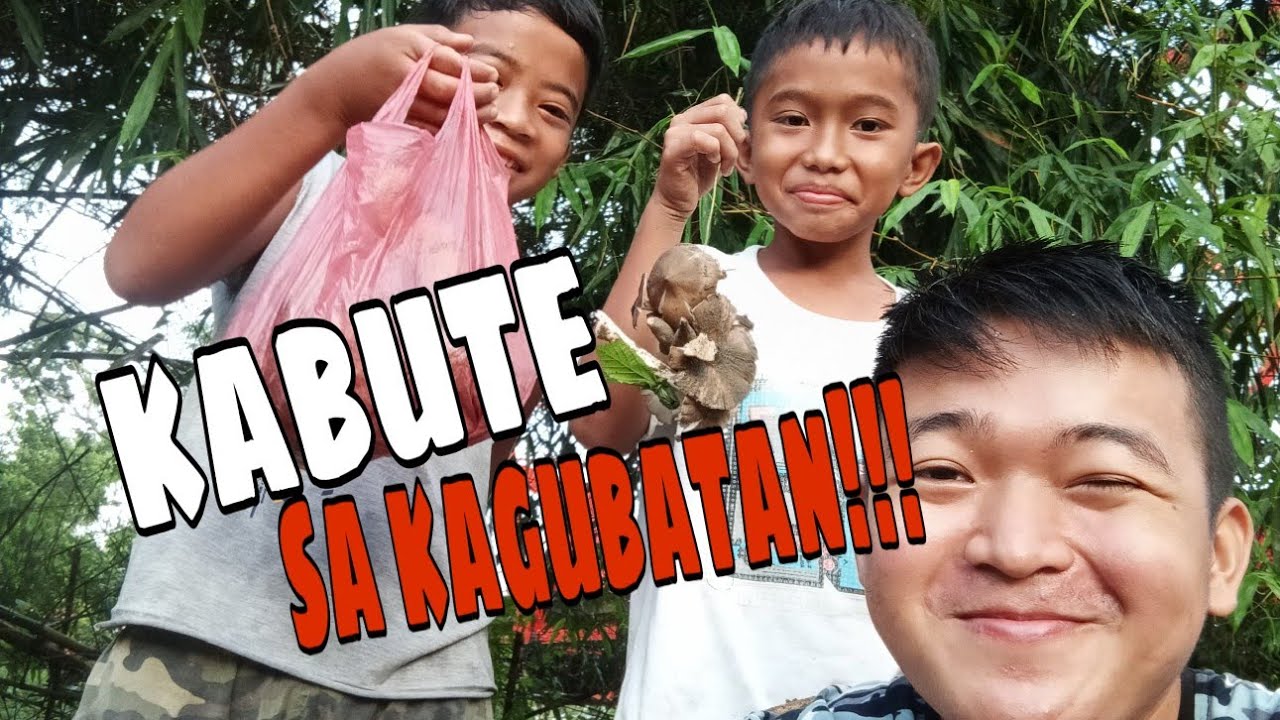 Kabute sa Kagubatan || Panahon ng pagtubo ng mga Kabute || May malaking ...