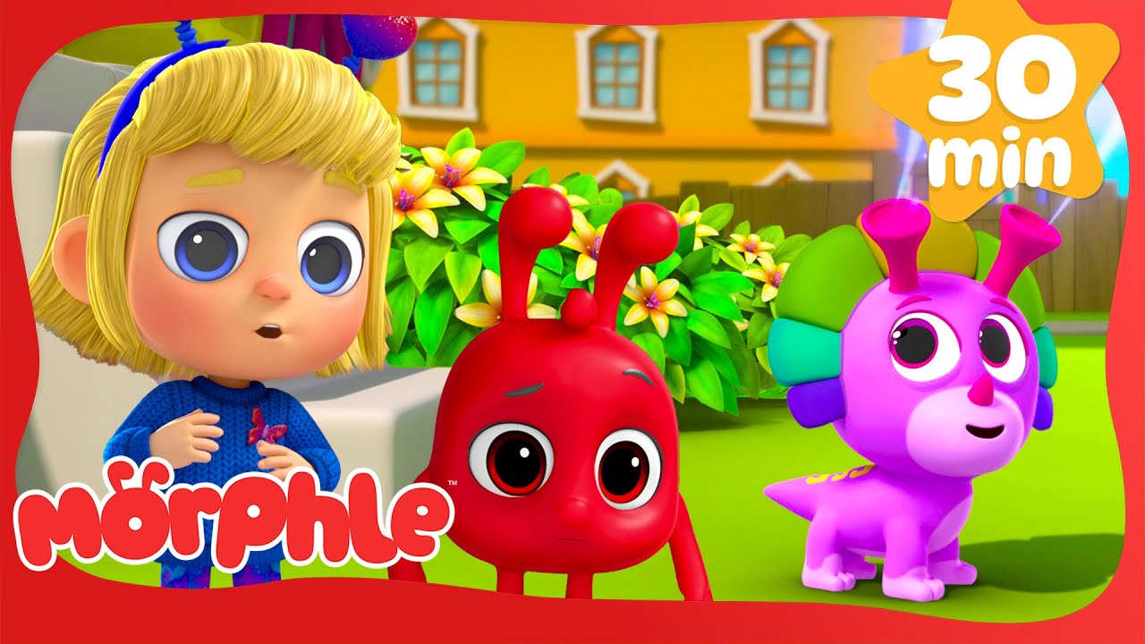 The Pets Have SUPER POWERS? | Morphle 🎈 | Action Cartoons For Kids ...