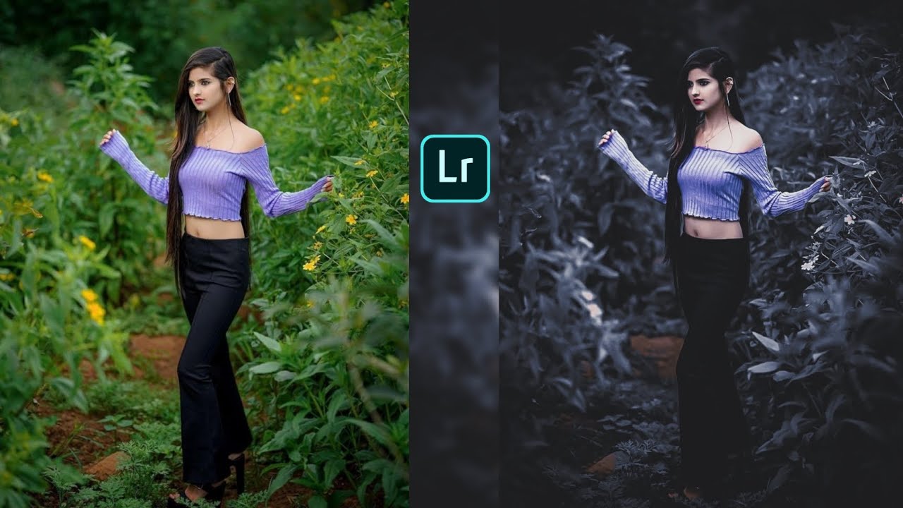 Dark Silver Tone Lightroom Photo Editing || Lightroom Silver Tone Photo ...