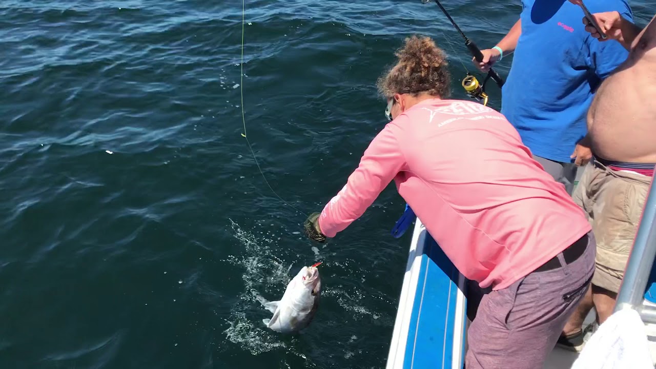 Amberjack on light tackle - YouTube
