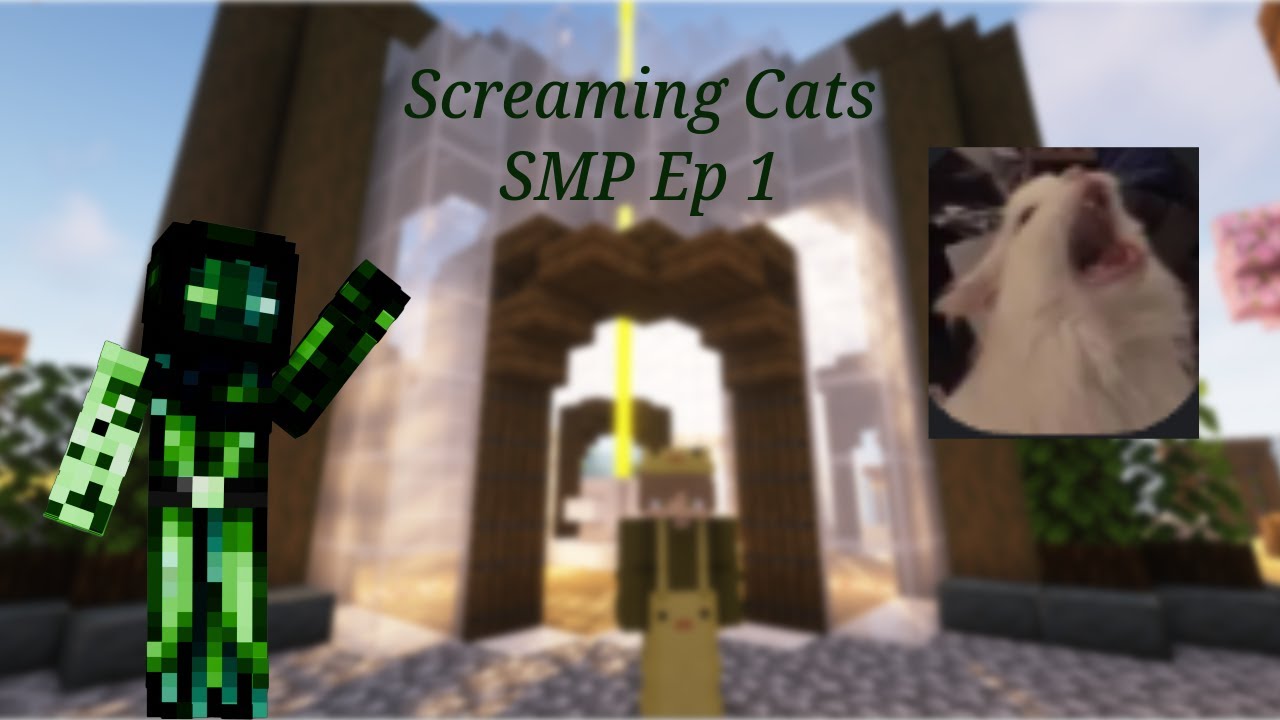 Screaming Cats SMP: Ep 1 - YouTube