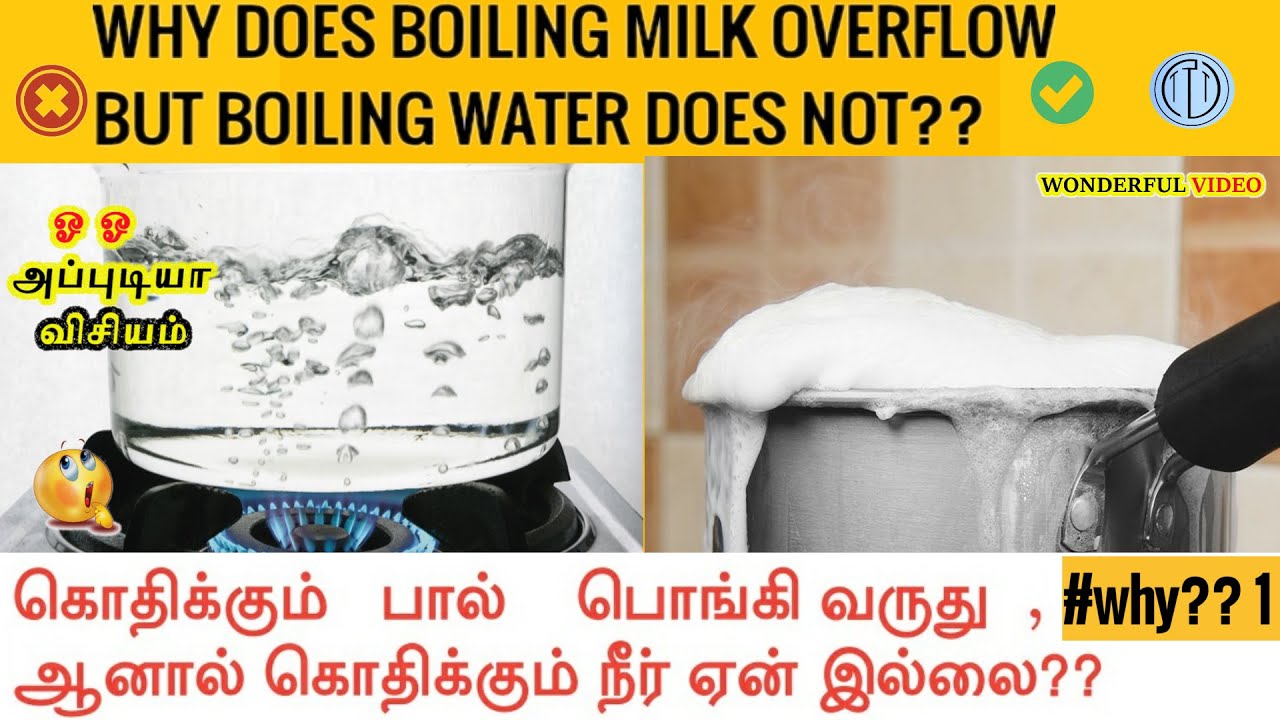 Why does Boiling Milk overflow But Boiling Water Does Not??|Why ...