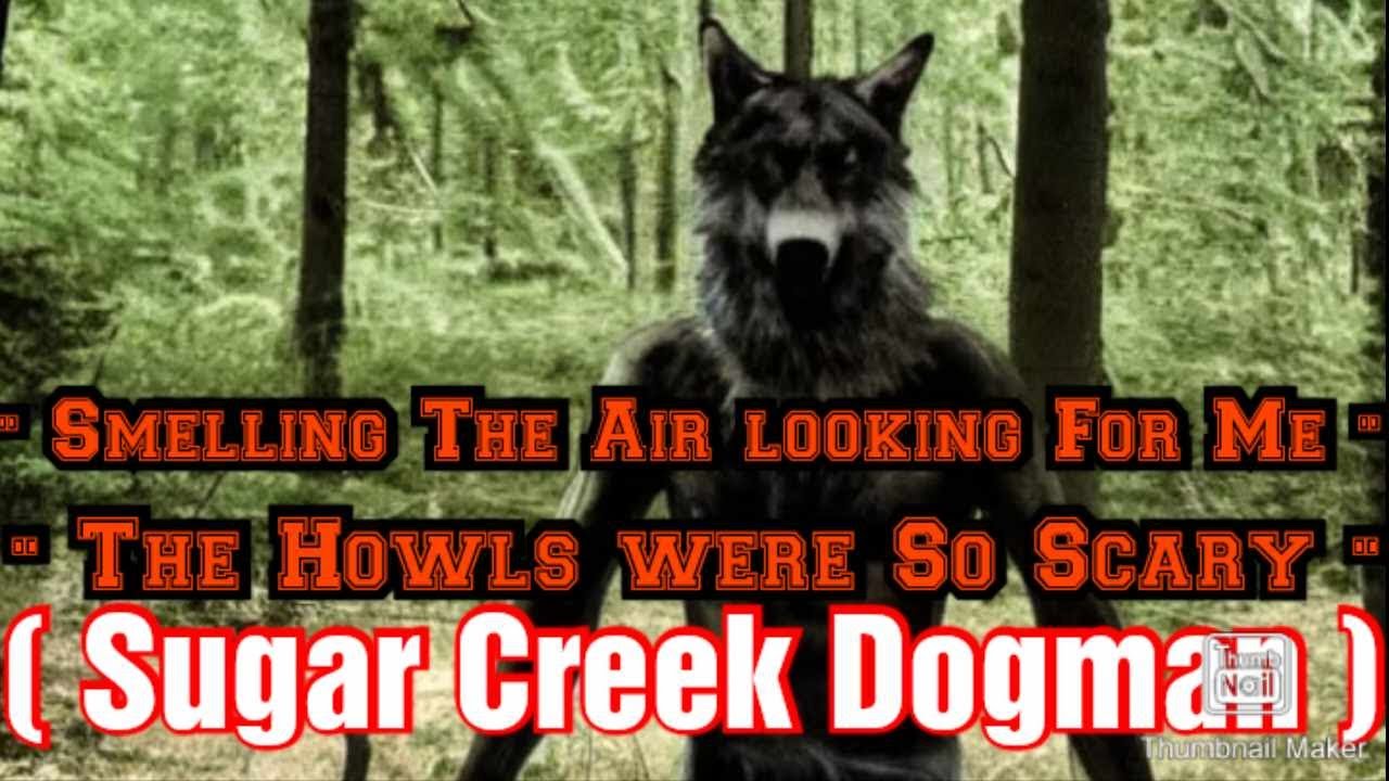 sugar creek Dogman ( Missouri ) - YouTube