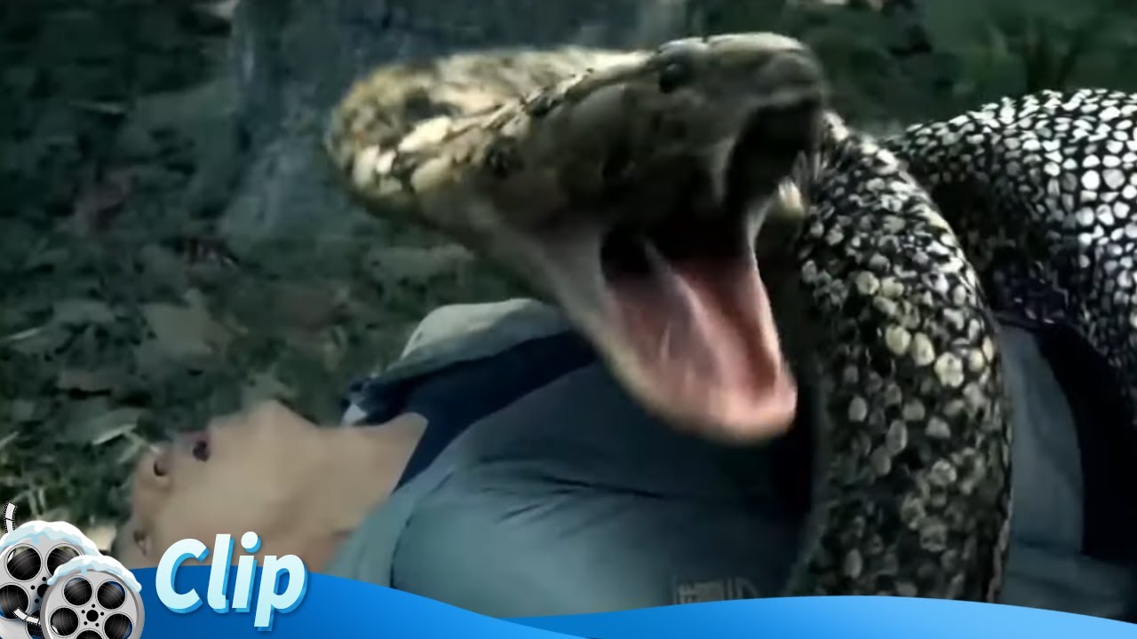 巨蛇现世 竟把人活活勒死在树干上《#蛇王2021》/ King of Snake | 王嘉儒 陈赛赛 户元松 | ENG SUB CLIP - YouTube