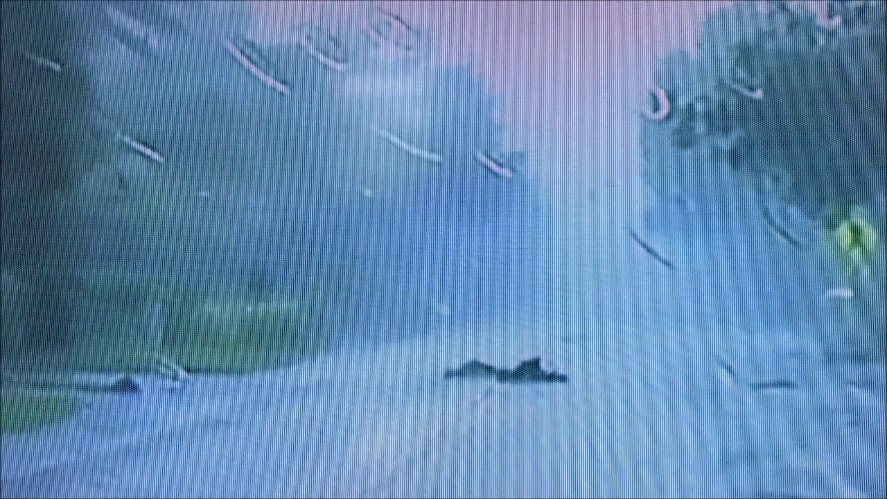 Driving through Hurricane Maria in Puerto Rico during the Storm - YouTube