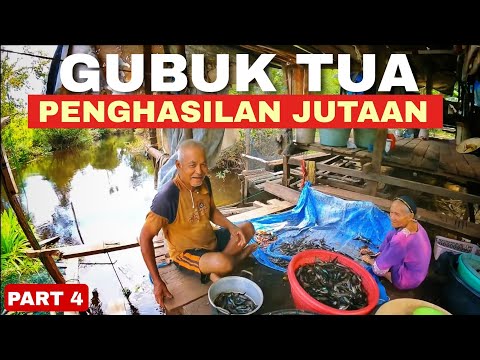 (90) Suami Istri Hidup di PEDALAMAN KALIMANTAN | Keliling Indonesia - Katingan