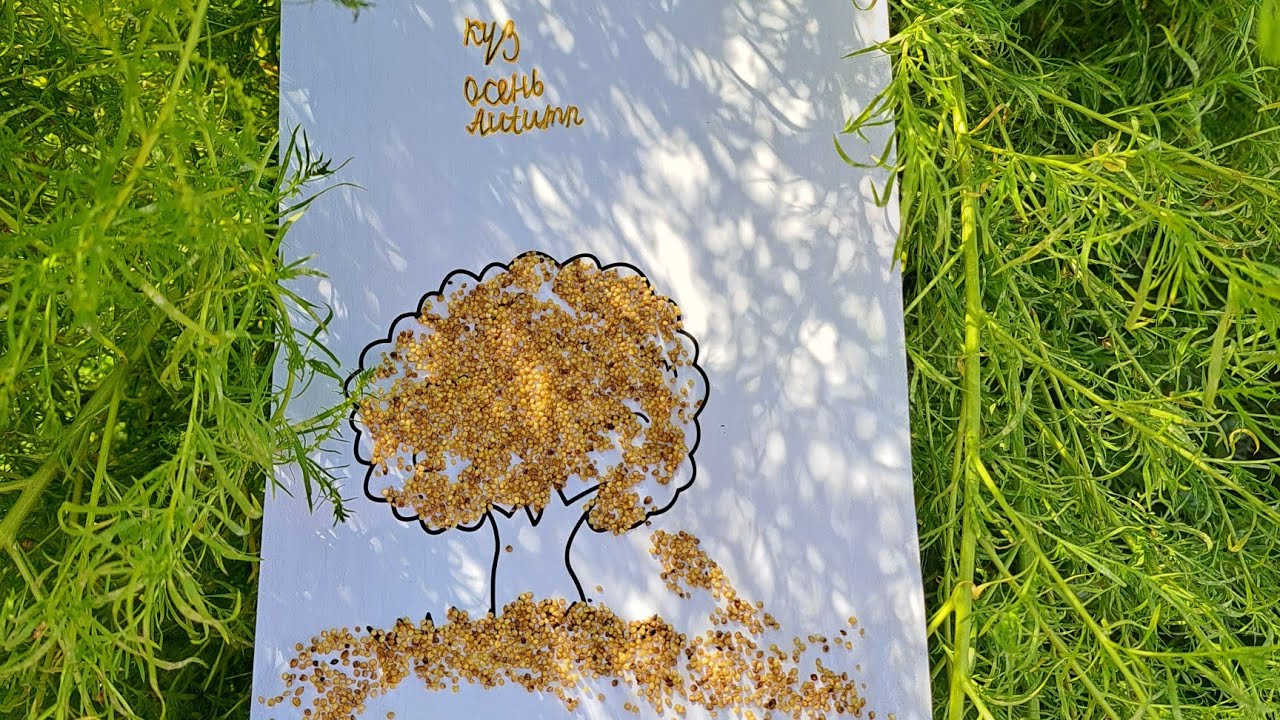 DIY.АППЛИКАЦИЯ ОСЕННЕЕ ДЕРЕВО С ПШЕНОМ. КҮЗГІ АҒАШ. КҮЗ. Craft of ...
