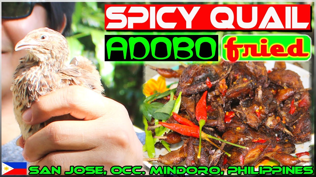 EP72 - Spicy Adobo Fried Quail (Pugo) | Occi. Mindoro - YouTube