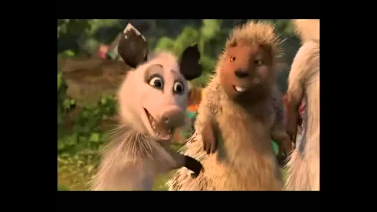 Os sem floresta - nos queremos mostrar uma coisa, vem - YouTube