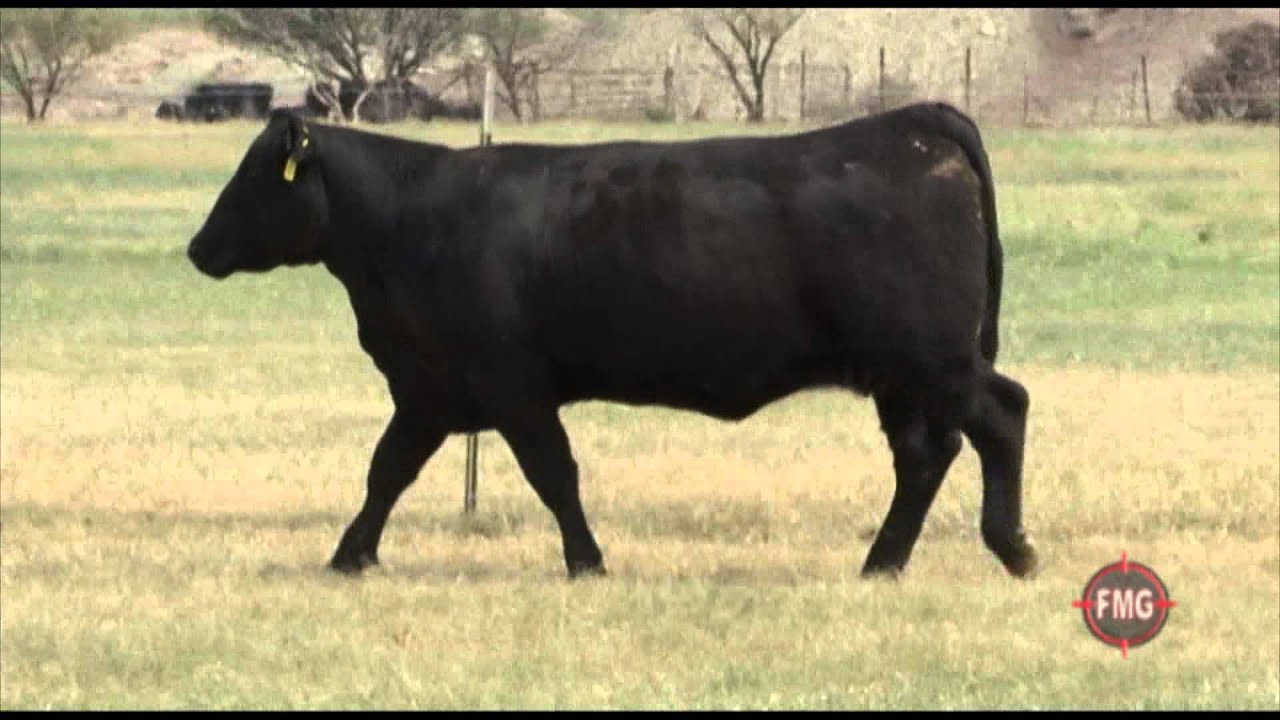 LOT 1573 RA Brown Ranch - YouTube