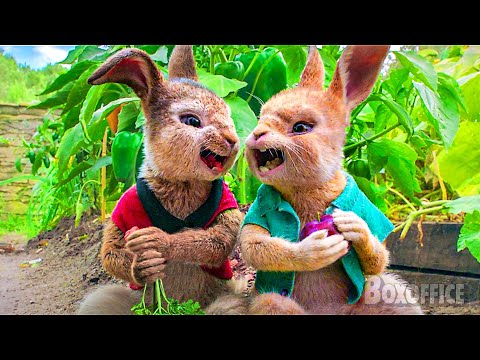Une famille de Lapins volent les légumes d'un fermier ! | Pierre Lapin | Extrait VF 🔥 4K