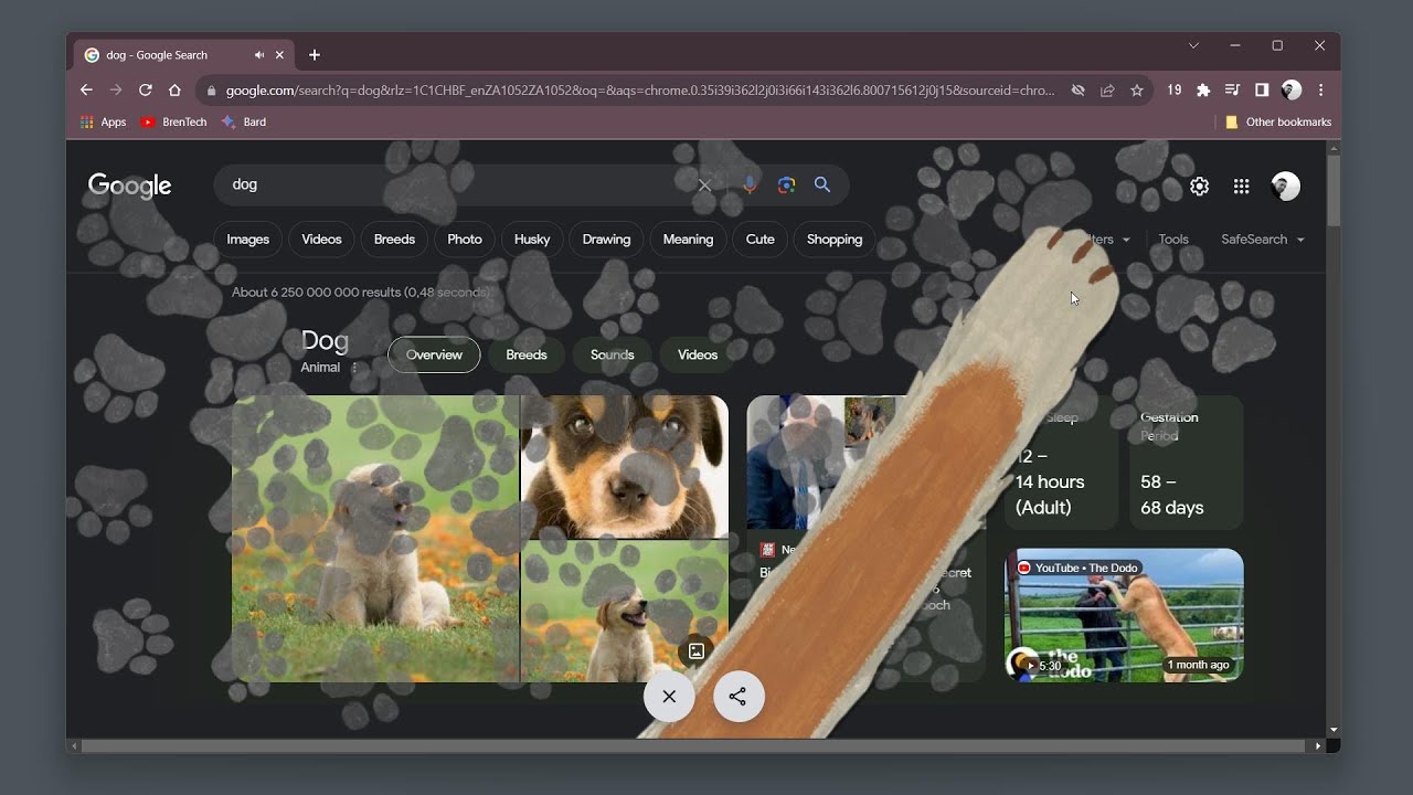 Google Search Easter Eggs: Dog and Cat paws will take over your screen ...