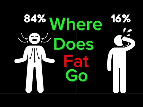 Fat Loss Explained: Where Does the Fat Go? - YouTube