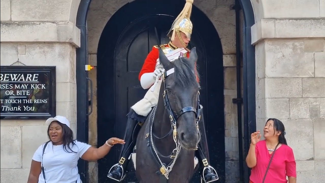 Don't touch the kings life guard #horseguardsparade - YouTube