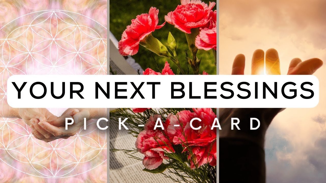 Next BLESSINGS coming right up !! Pick a Card 🌹 Timeless Psychic ...