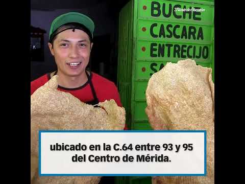 Festival de la chicharra en Mérida 2023: fecha y horario