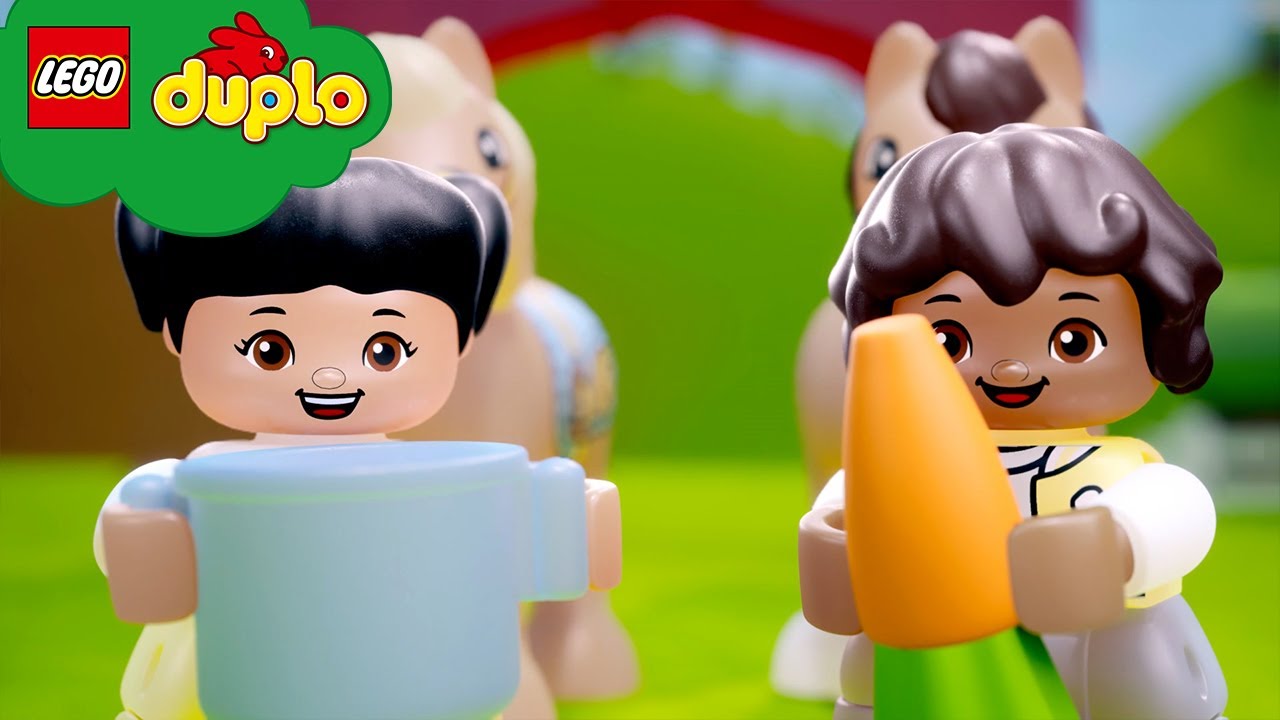 Animal Care! | LEGO DUPLO | Cartoons for Kids | Learning Videos for ...