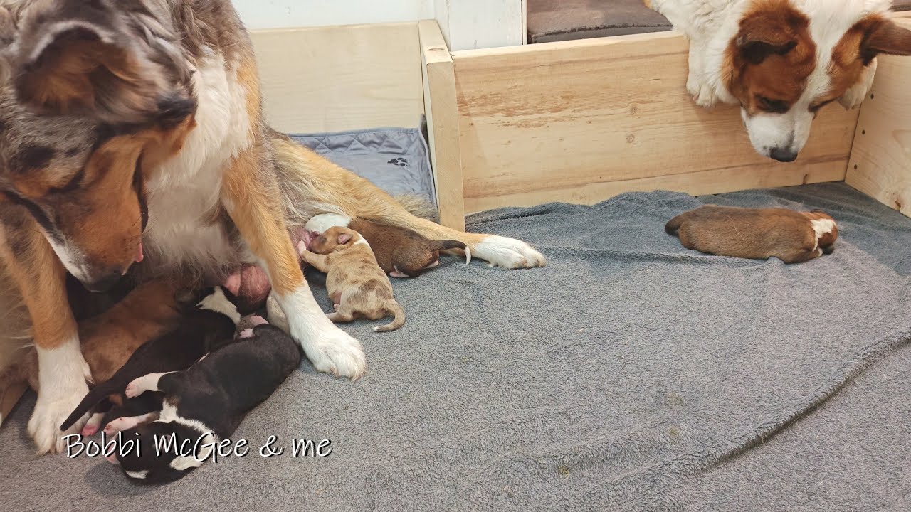 Rocket - The Outer Limits - YouTube