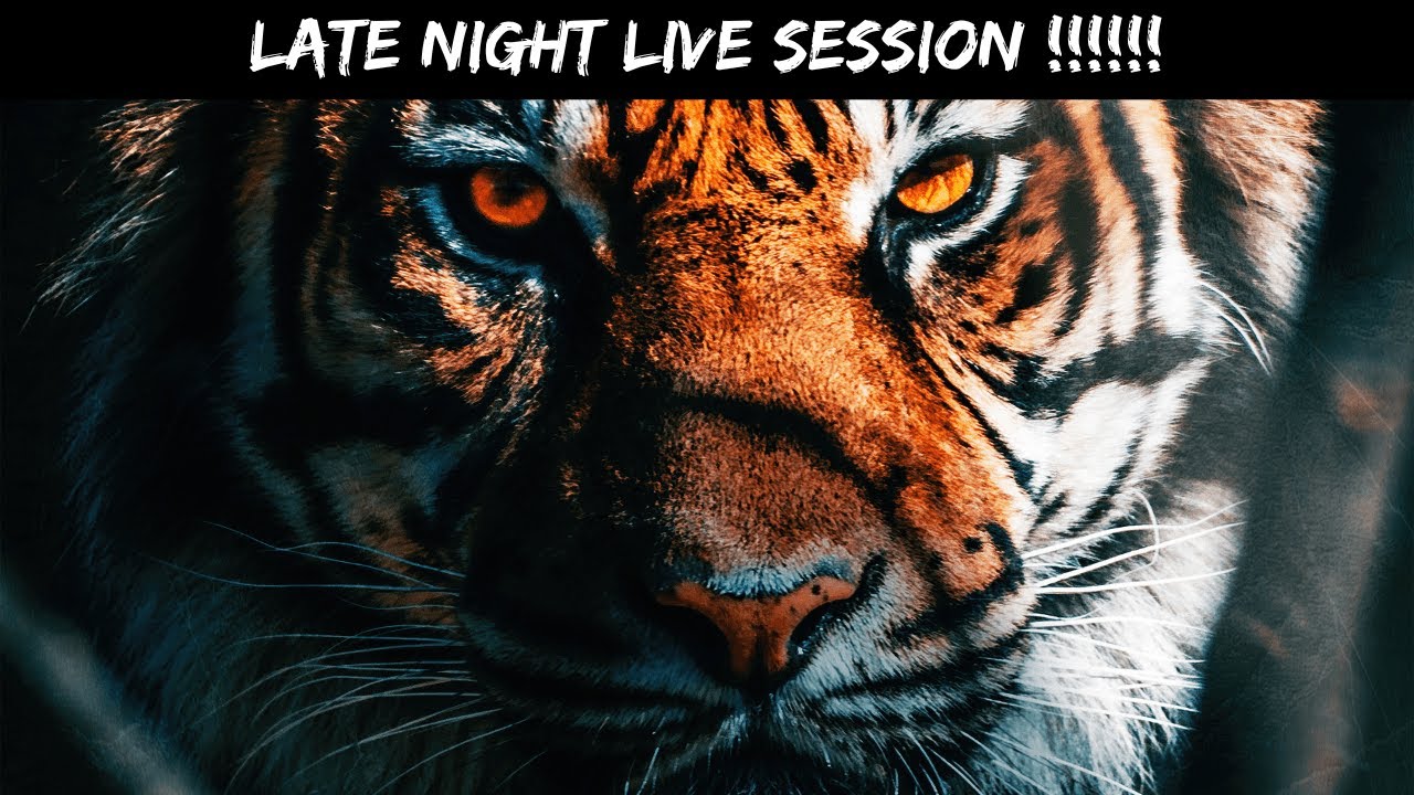 Late Night Live Session !!! - YouTube