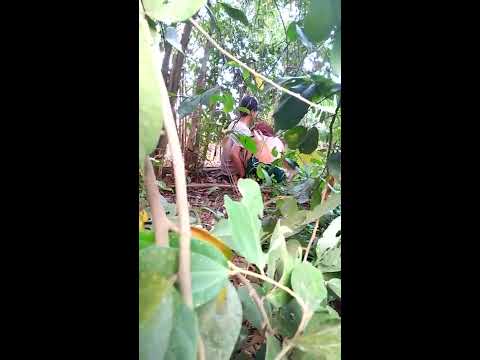 Orang lagi Mesum di hutan sepasang suami istri. Hot G