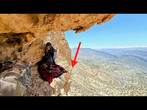 🐑🌿 An amazing rescue in the mountains: 🏔️🐑 From picking herbs to saving a little lamb 🤍🌱