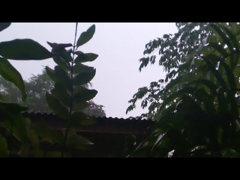 Bagyo Sa Pilipinas | Bagyong Paeng #youtube - YouTube