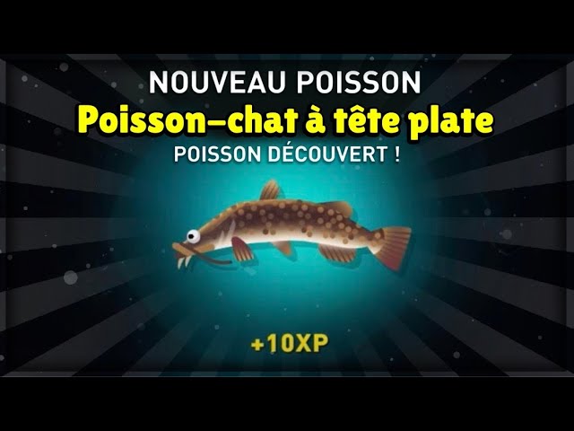 Chat Attrapant Du Poisson Le Poisson Chat