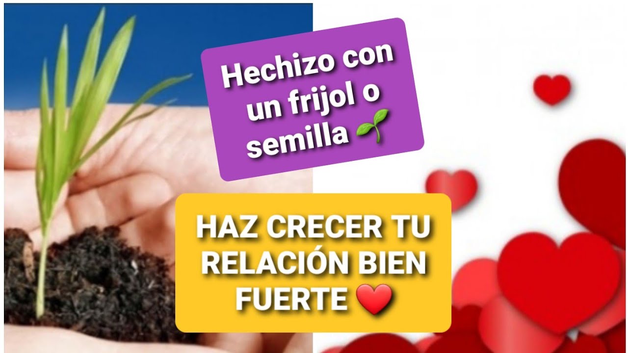 🌻💑 Hechizo ENDULZAMIENTO DE AMOR / Ritual UNIÓN PAREJA sin velas Hacer ...