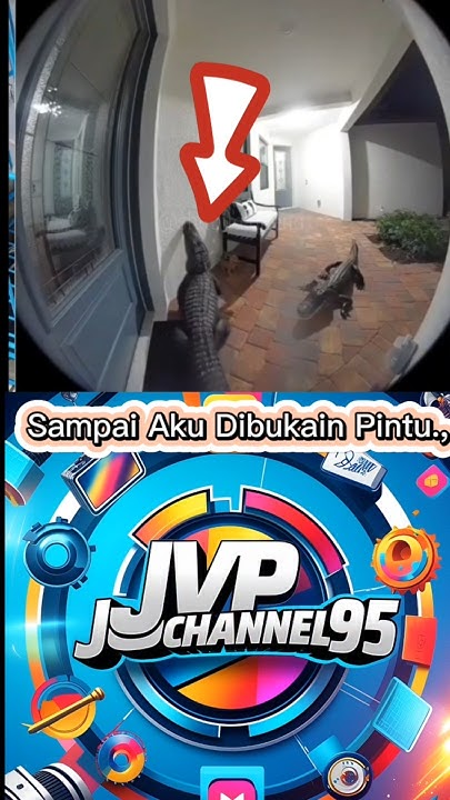 Kisah Hampir Semua Sejoli Pernah Rasakan. #shorts #viralvideo #crocodile #rumah #cctv #indonesia ...