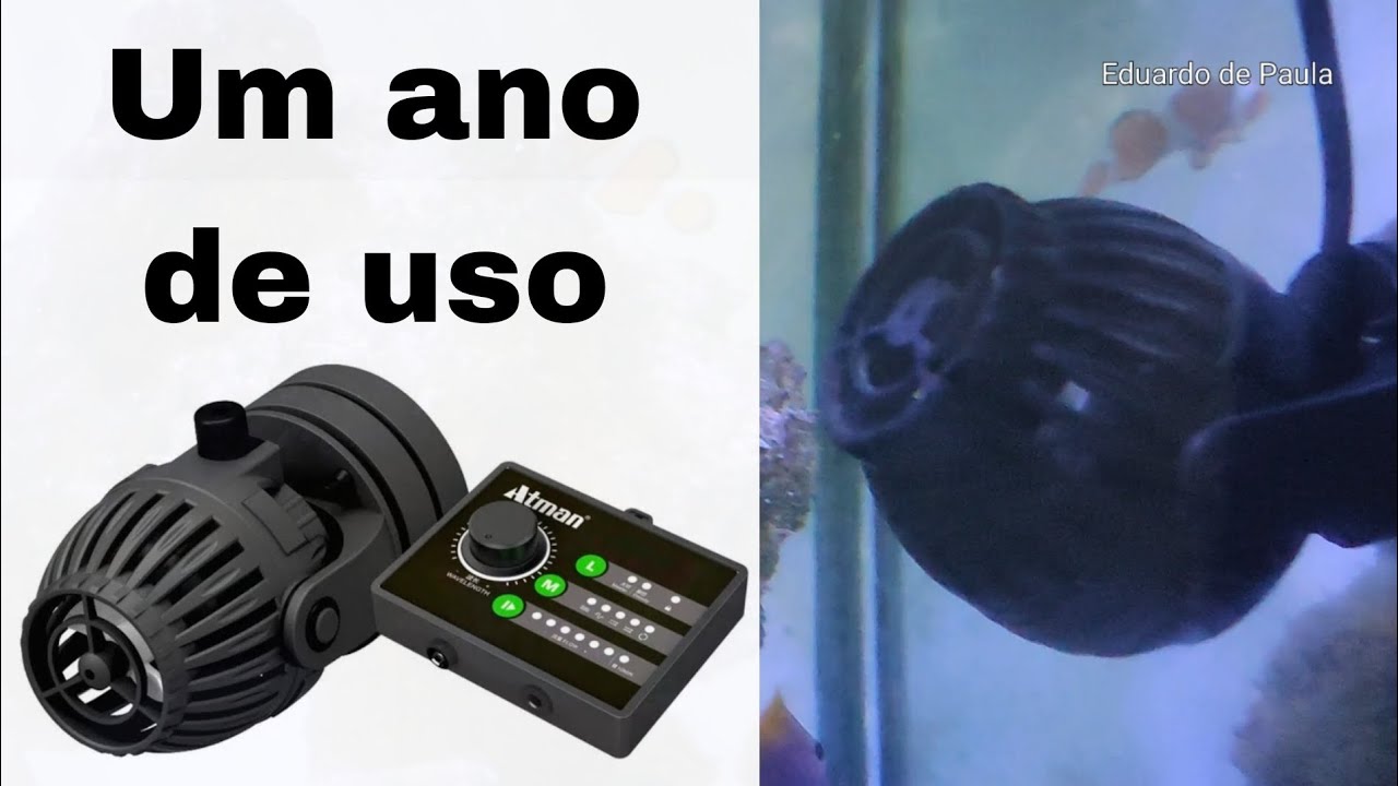 Wave maker Atman vale a pena? - YouTube