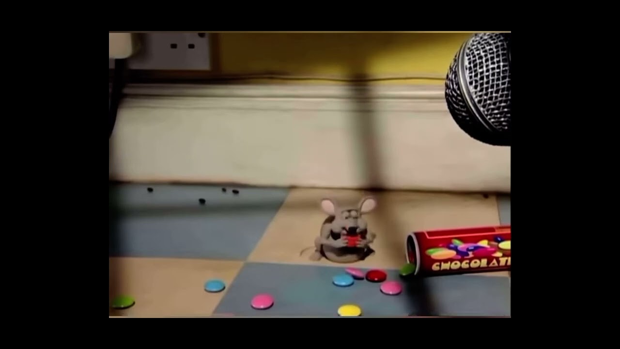 Rat eating M&M For two minutes - YouTube
