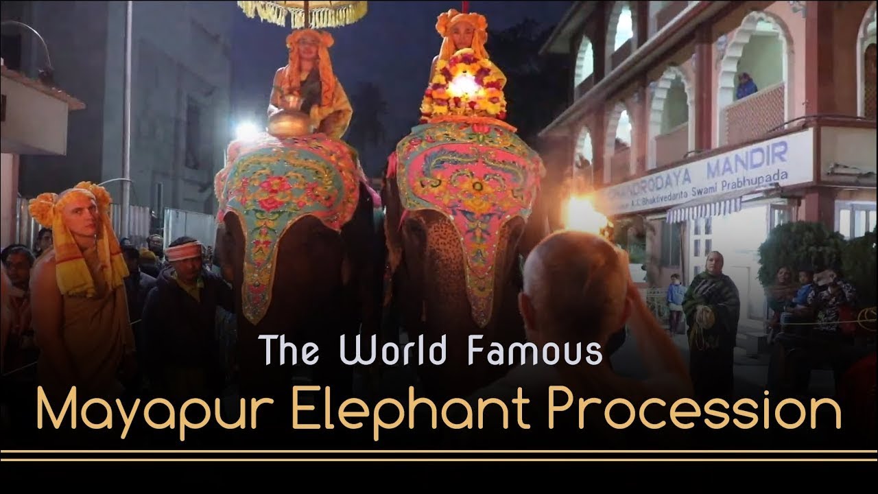 The World Famous Mayapur Elephant Procession 2024 - YouTube