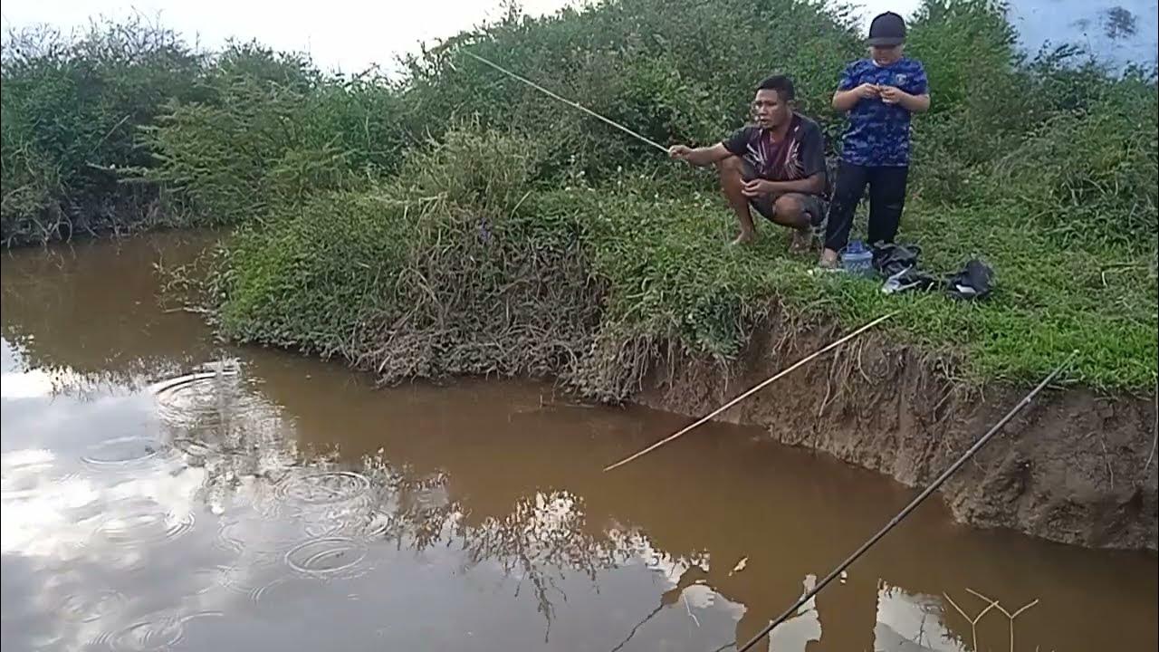 ASIKNYA MANCING ANAK IKAN NILA DI KALI@MANCING IKAN NILA - YouTube